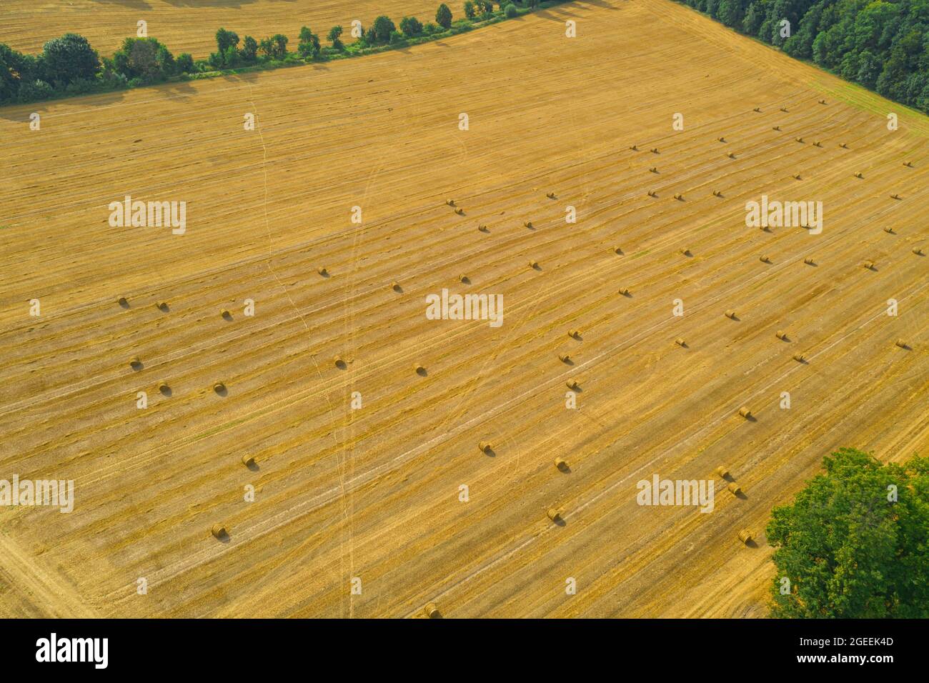 Sudeten foothills. Undulating terrain covered with arable fields ...