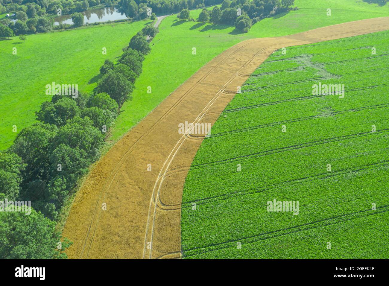 Upland, undulating terrain covered with meadows and arable fields. View ...