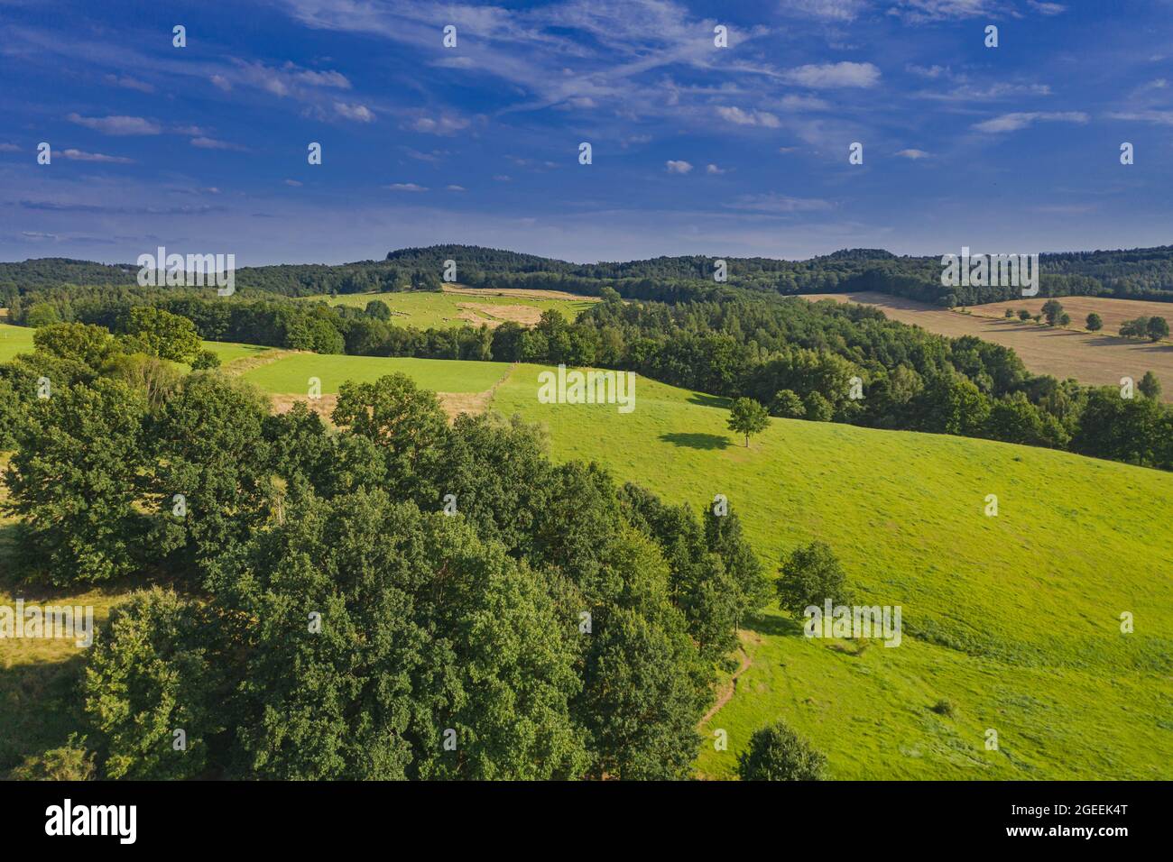 Sudeten foothills. Undulating terrain covered with arable fields ...