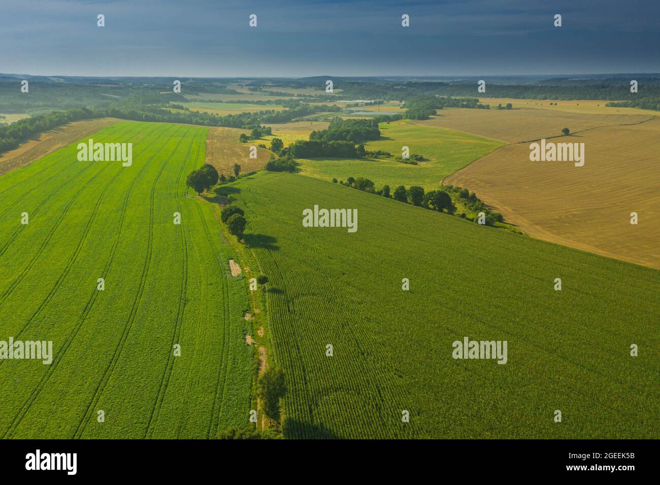Sudeten foothills. Undulating terrain covered with arable fields ...