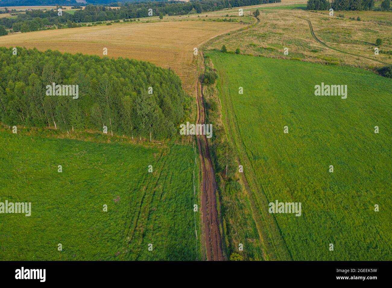 Sudeten foothills. Undulating terrain covered with arable fields ...