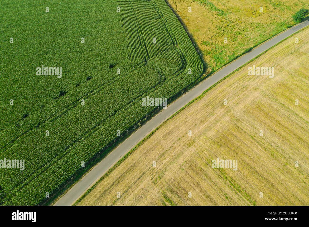 Sudeten foothills. Undulating terrain covered with arable fields ...