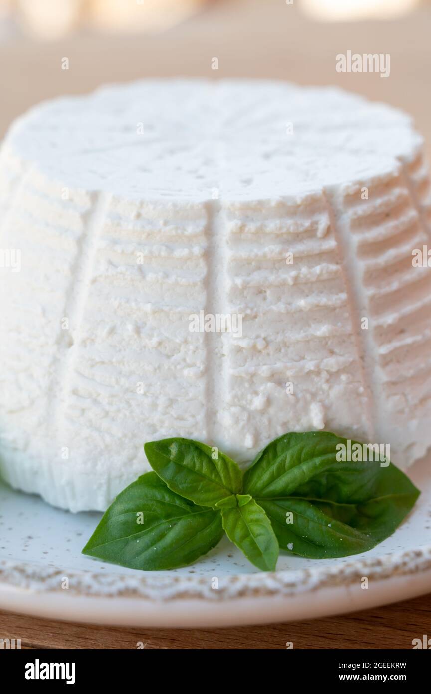 Cheese collection, white Italian soft organic cheese ricotta served ...