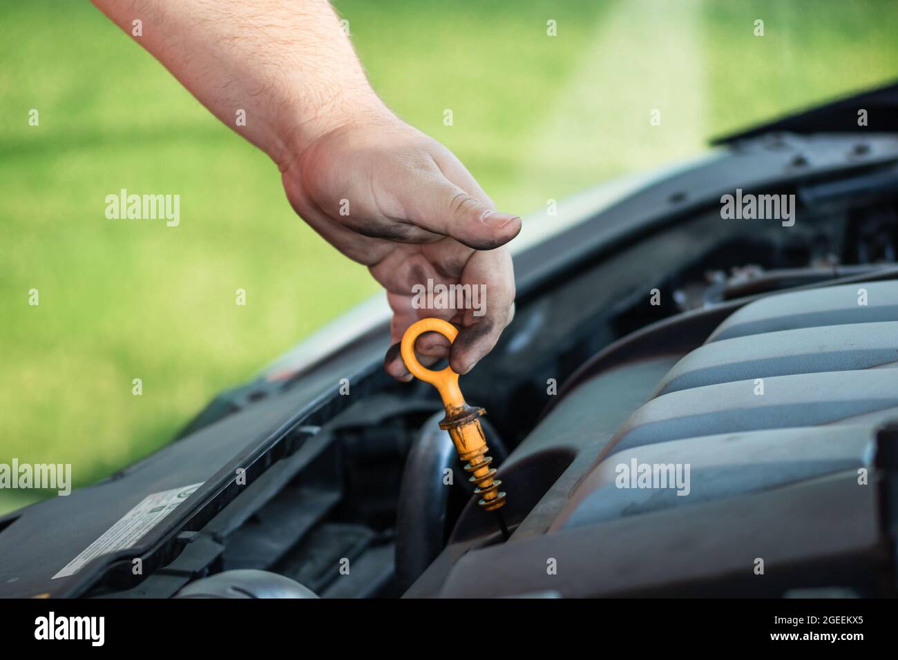 Car mechanic checking the engine oil level Stock Photo - Alamy
