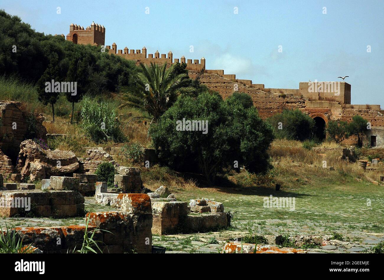 Kasbah Chellah in Rabat in Morocco Stock Photo - Alamy