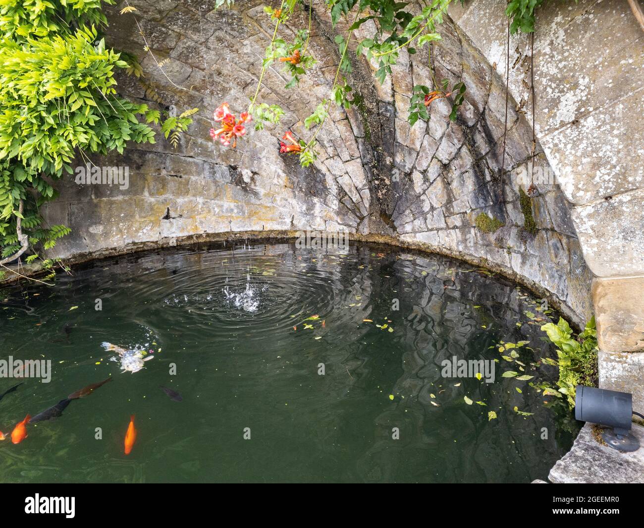 Little pond in a historic estate, Kent, UK Stock Photo - Alamy