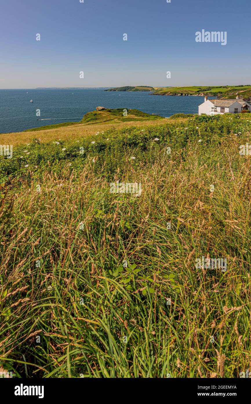 Gribyn head hi-res stock photography and images - Alamy