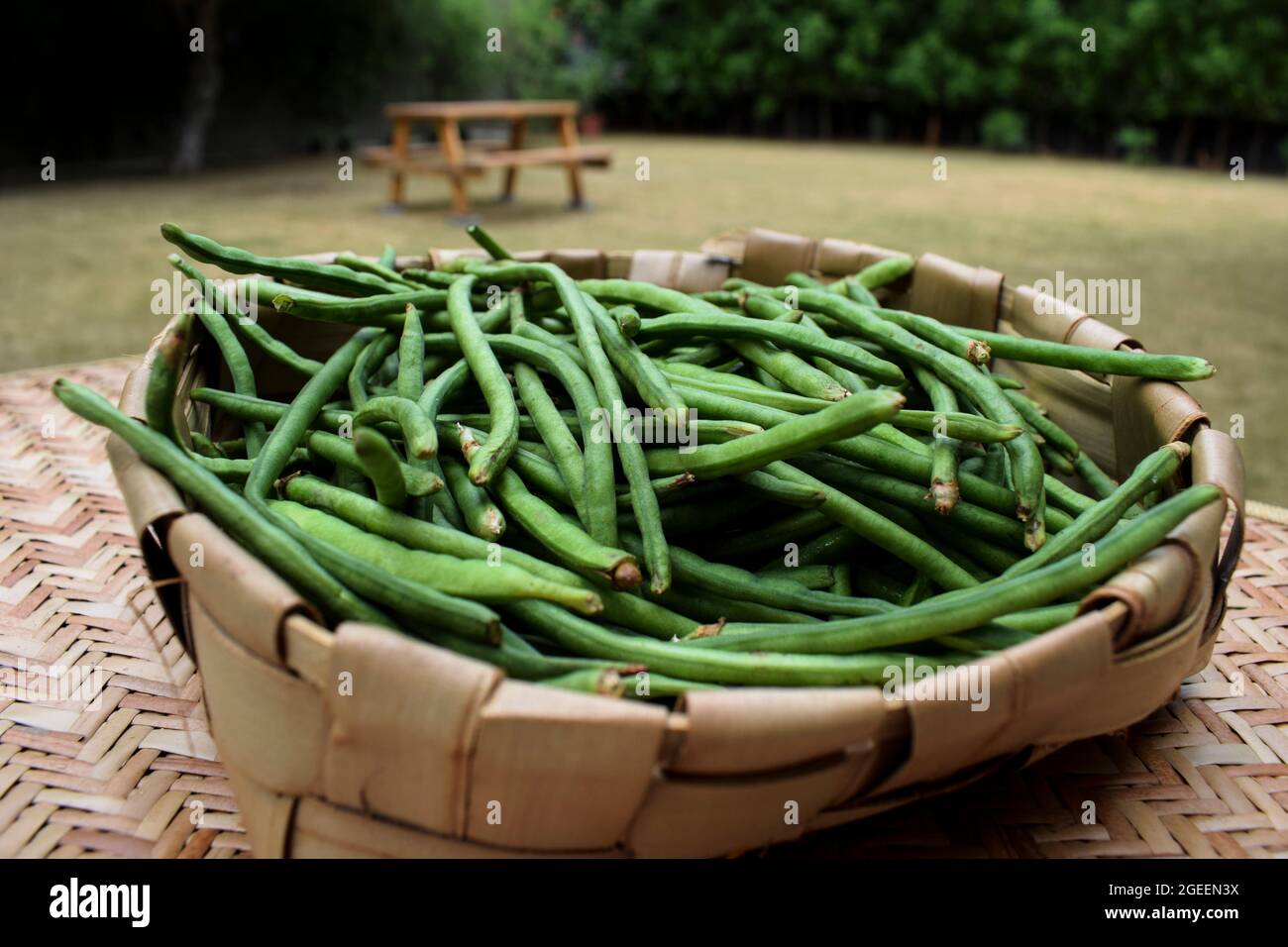 Indian beans hi-res stock photography and images - Alamy