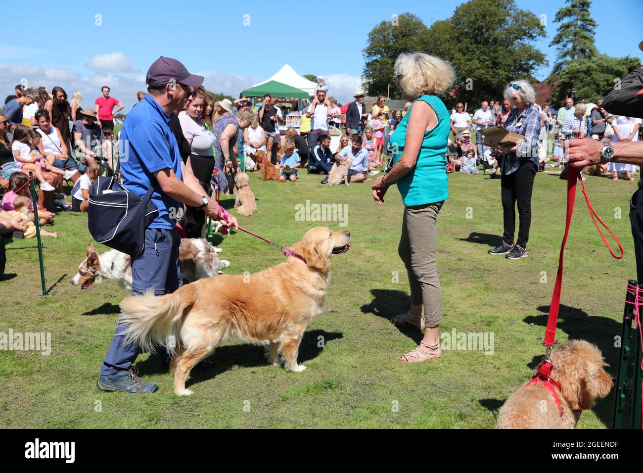 DOGS AND OWNERS IN A FUN DOG SHOW AT A FETE IN THE UK Stock Photo - Alamy
