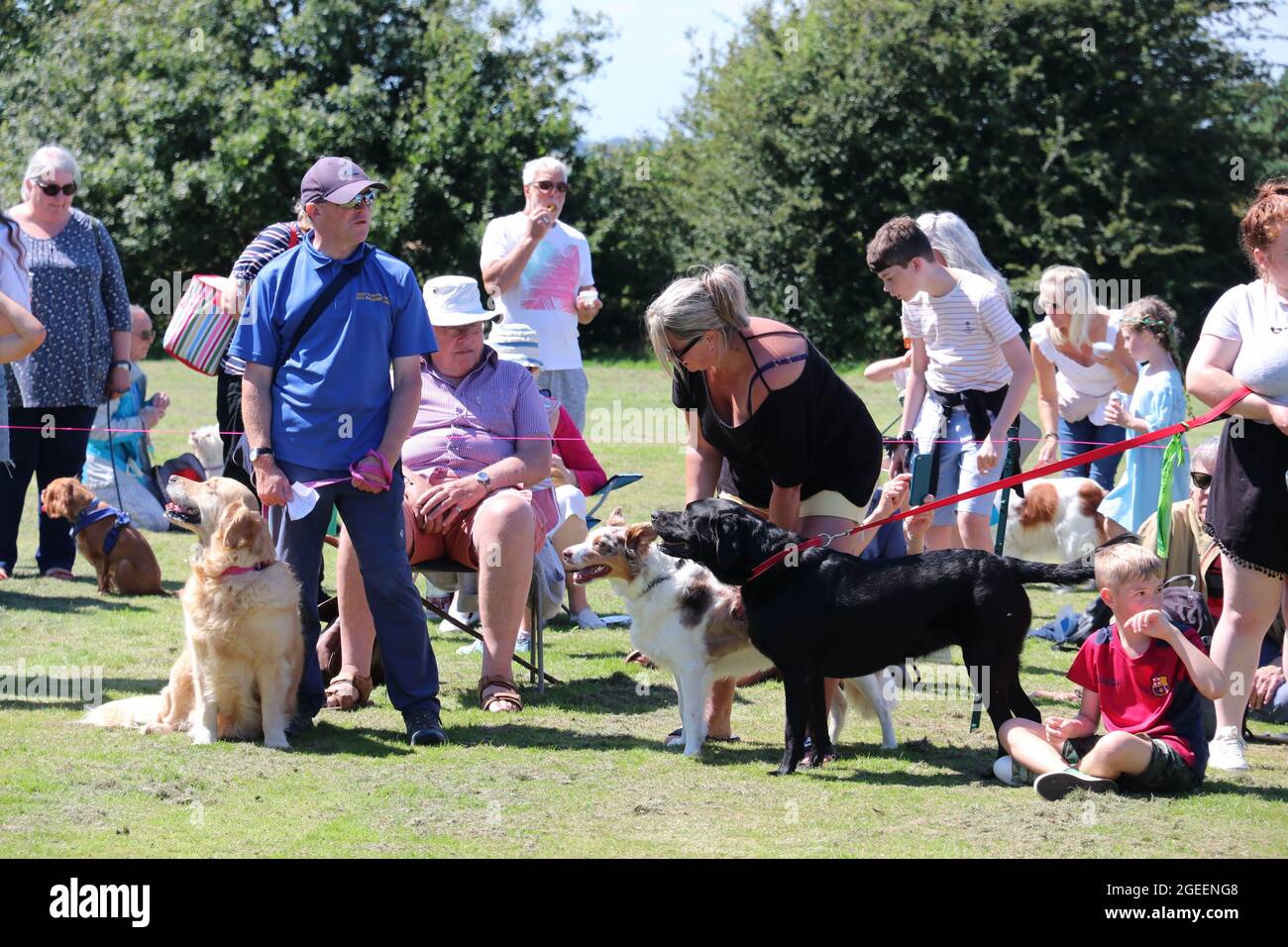 DOGS AND OWNERS IN A FUN DOG SHOW AT A FETE IN THE UK Stock Photo - Alamy