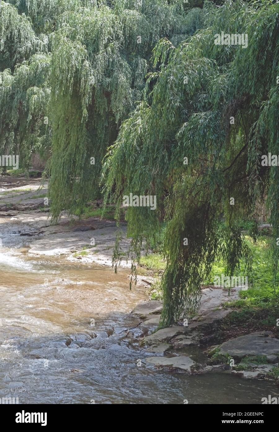 Grow near hi-res stock photography and images - Alamy