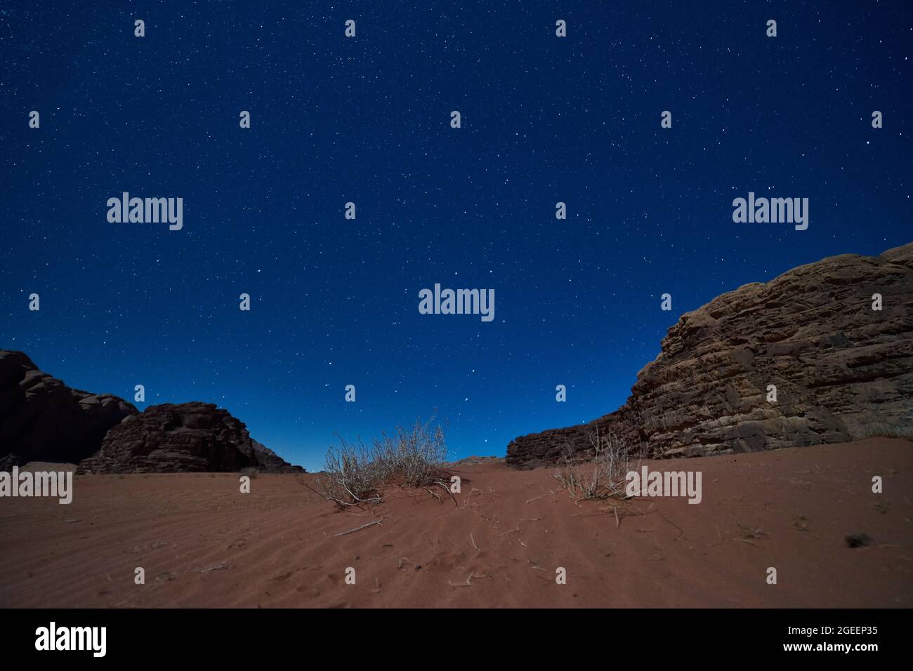 Solar desert plants hi-res stock photography and images - Alamy