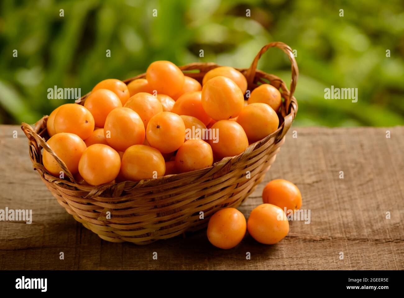 Brazilian fruit caja in the straw basket Stock Photo - Alamy