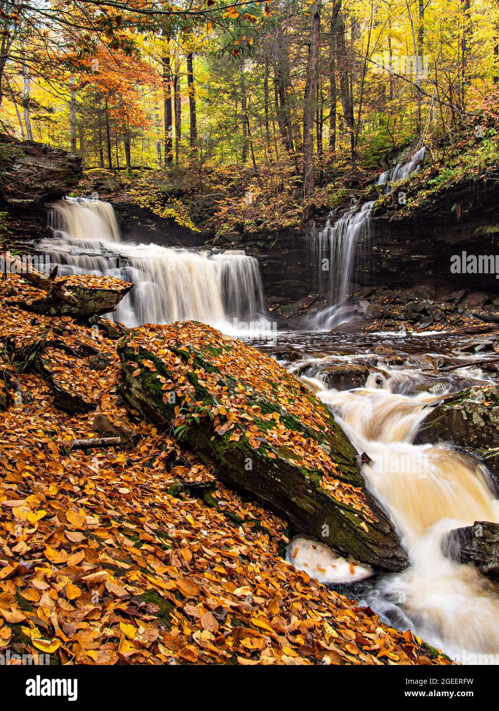 Water fall, Ricketts Glen State Park, PA during fall Stock Photo - Alamy