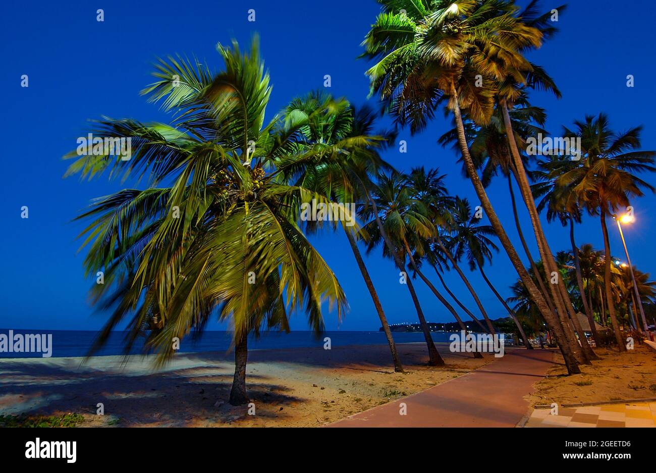 Joao Pessoa, Paraiba, Brazil, on November 5, 2004. coconut grove on ...