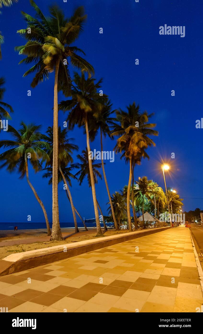 Joao Pessoa, Paraiba, Brazil, on November 5, 2004. coconut grove on ...