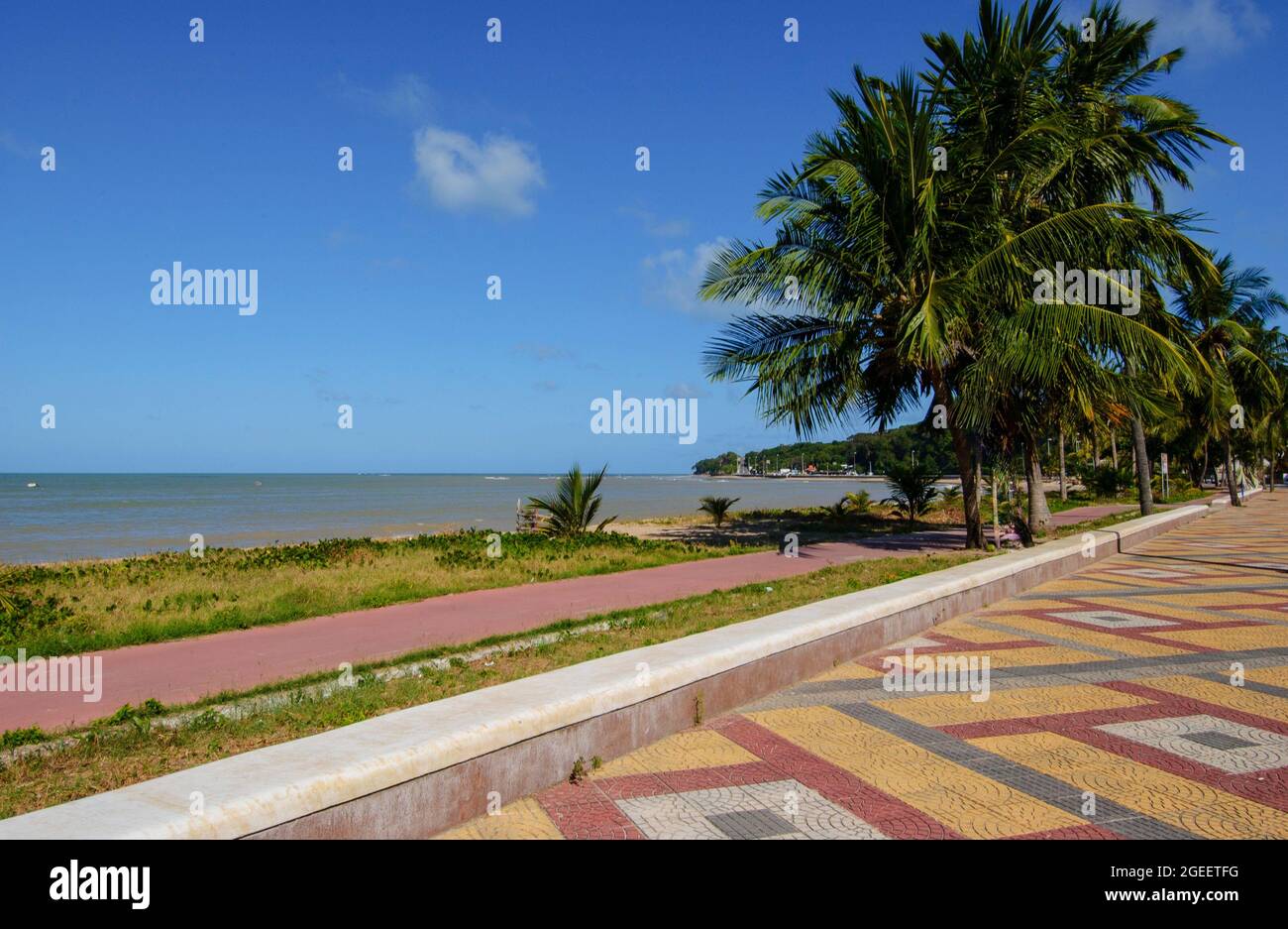 Joao Pessoa, Paraiba, Brazil, on November 5, 2004. Coconut grove on ...