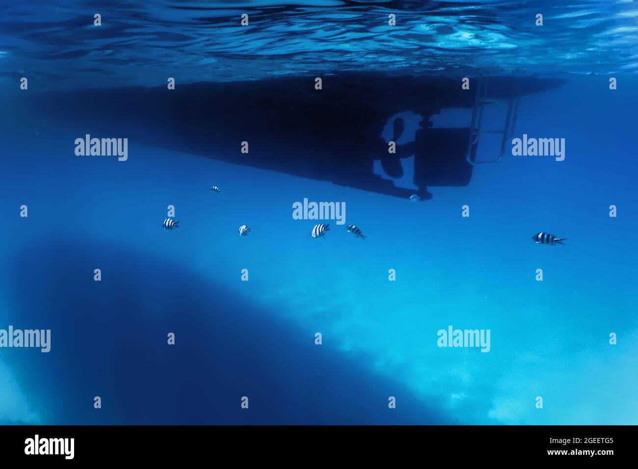 Underwater view Yacht Rudder and Prop, Bottom of a Boat Stock Photo - Alamy