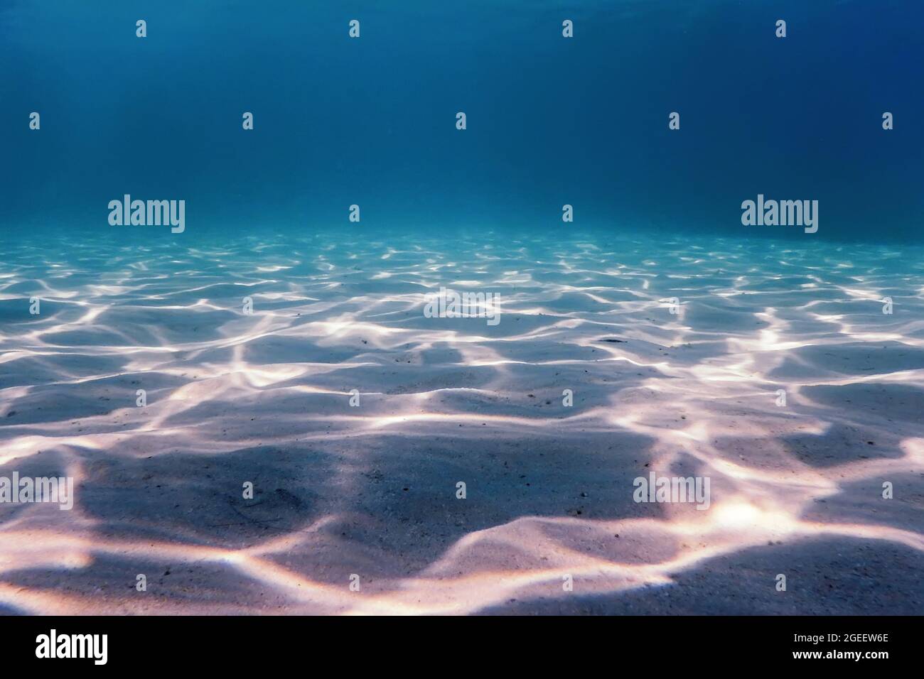 Sandy sea bottom Marine life, Underwater background Stock Photo - Alamy