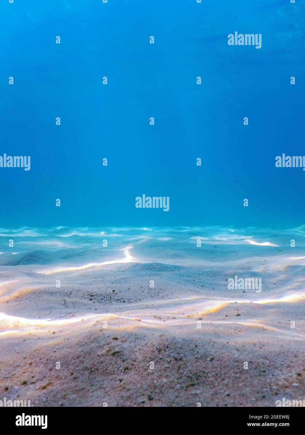 Sandy sea bottom Marine life, Underwater background Stock Photo - Alamy