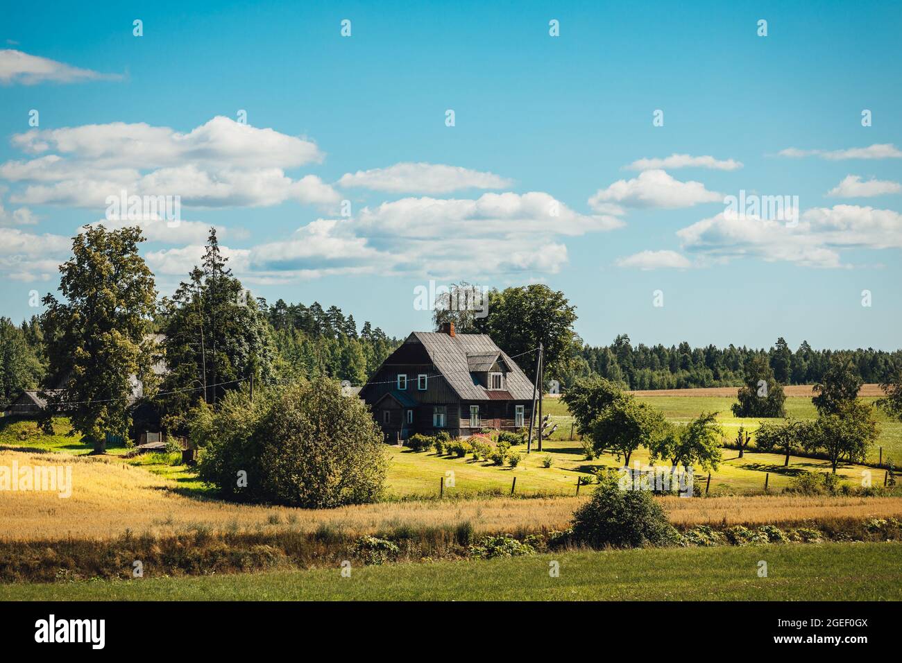 Wooden croft cottage on a grassy field surrounded by trees during ...