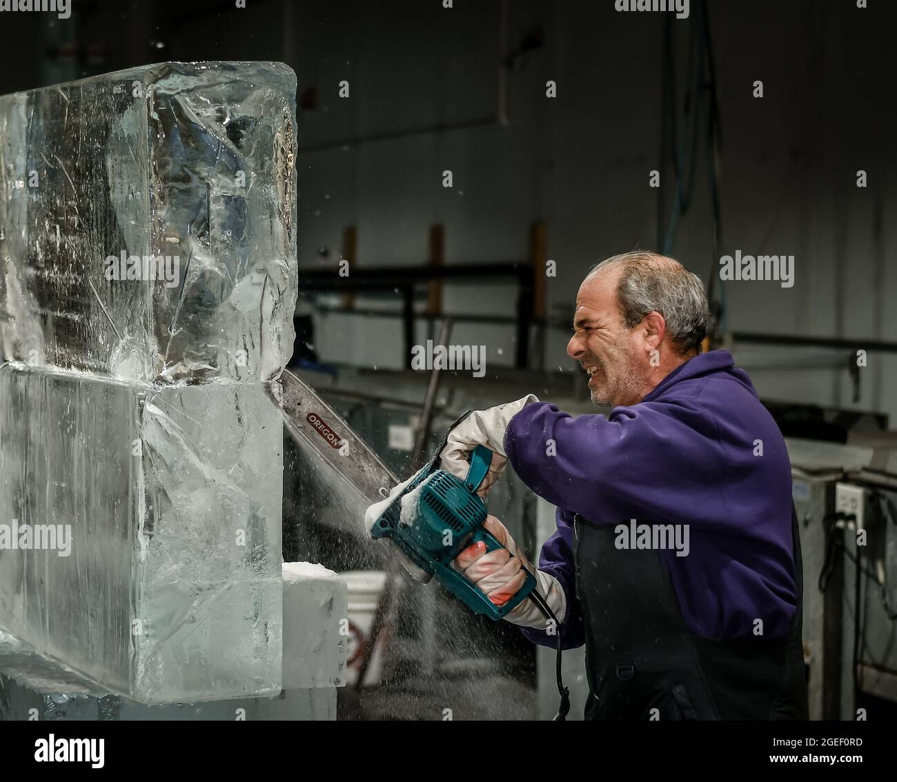 Chainsaw education hi-res stock photography and images - Alamy