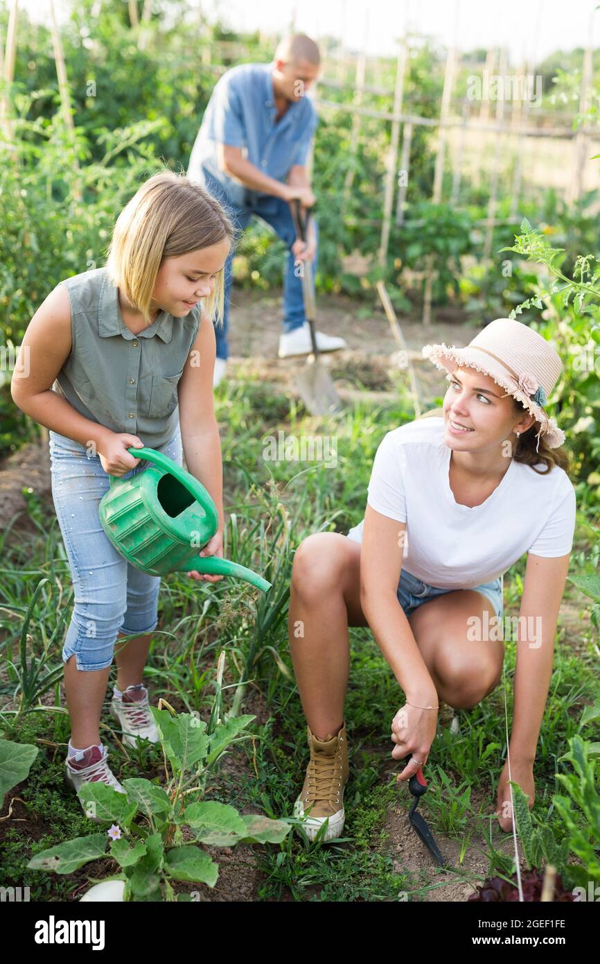 Child and adult digging garden hi-res stock photography and images - Alamy