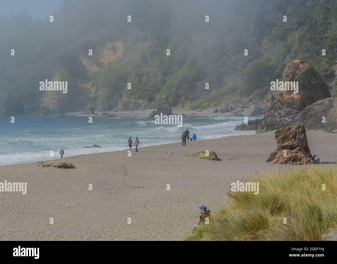 The rocky coast of Trinidad State Beach on the Pacific Ocean in ...