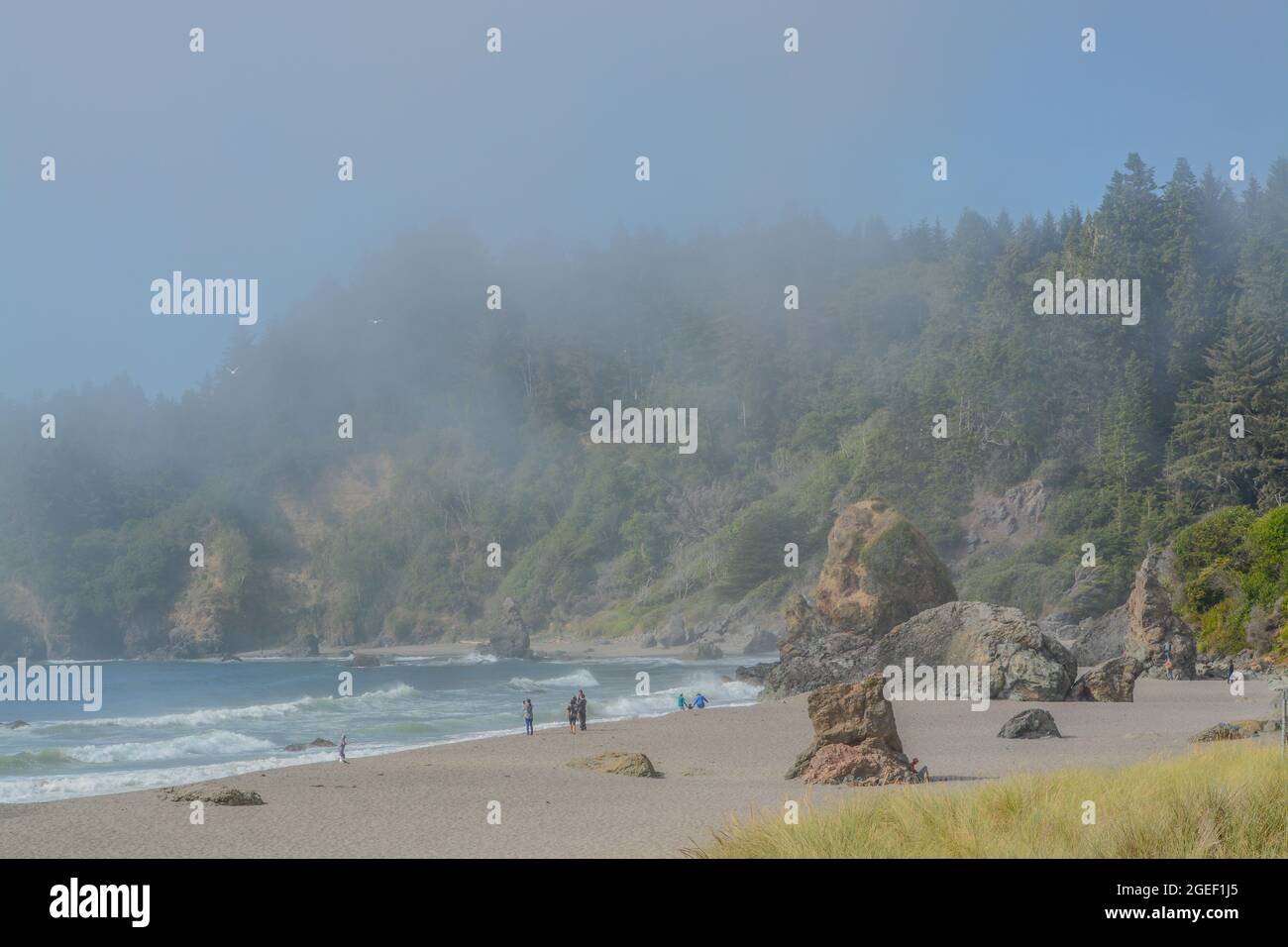 The rocky coast of Trinidad State Beach on the Pacific Ocean in ...