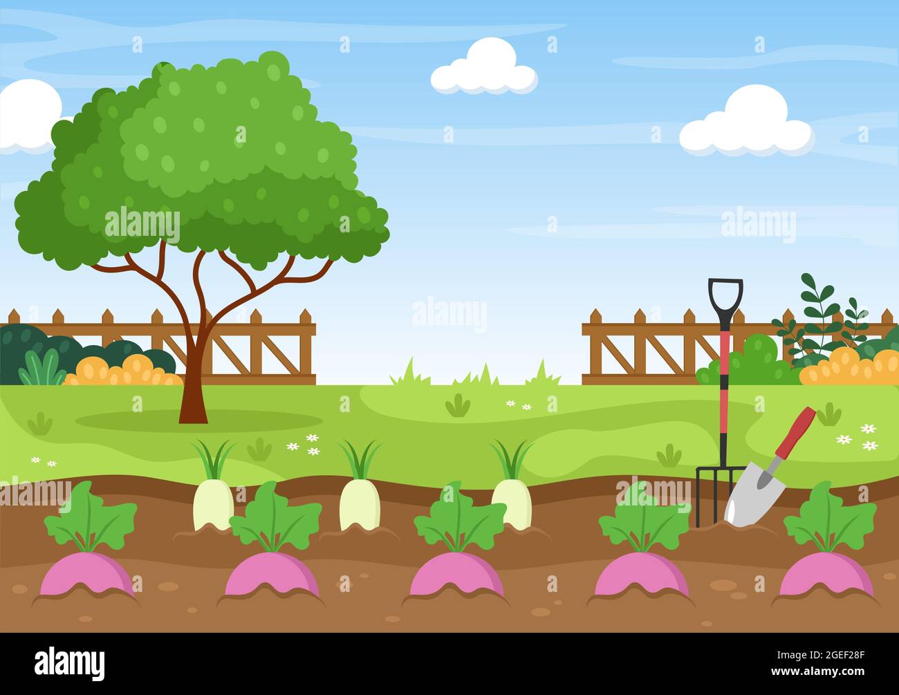 Planted vegetables Stock Vector Images - Alamy