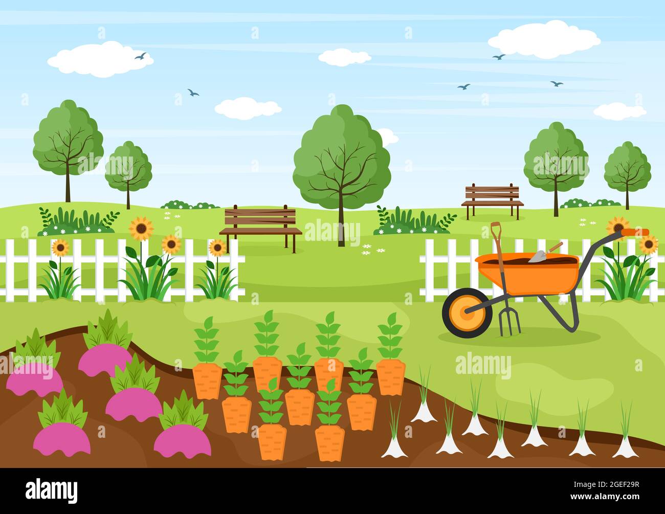 Vector Garden Background