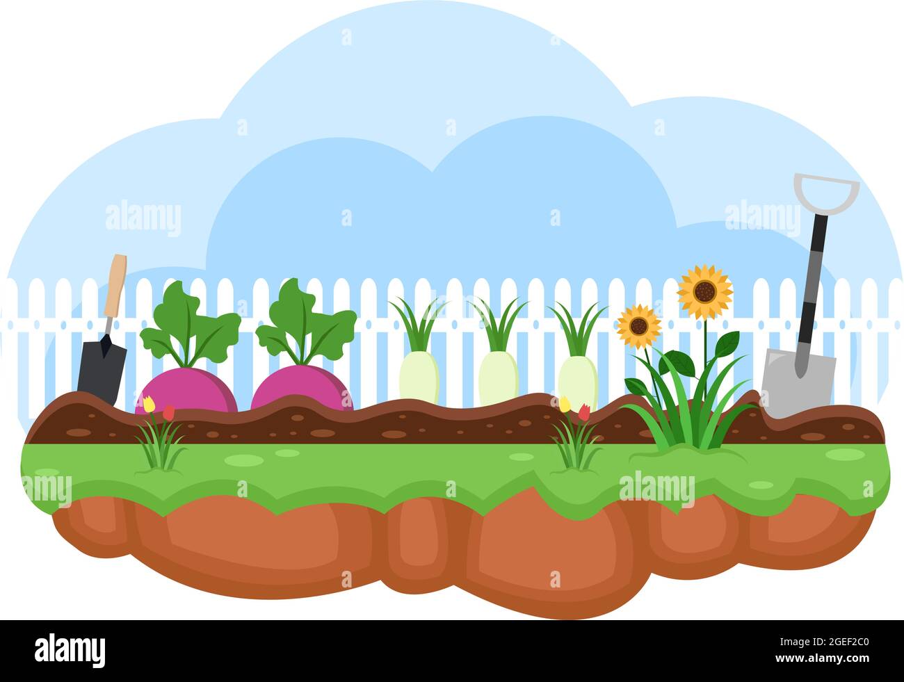 Vegetable Farm Clipart Background