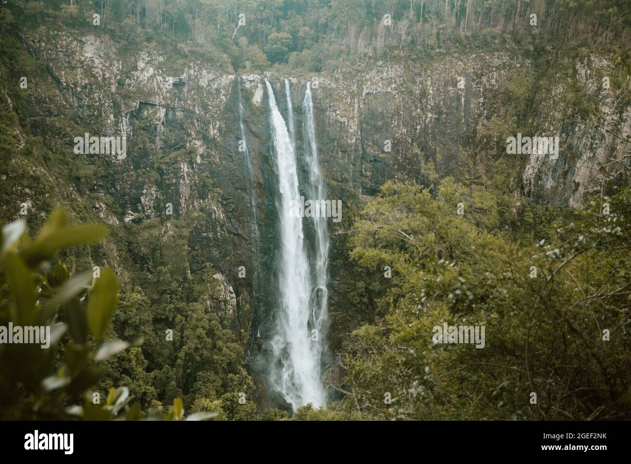 Ellenborough Falls beautiful waterfall landscape NSW Australia Stock ...
