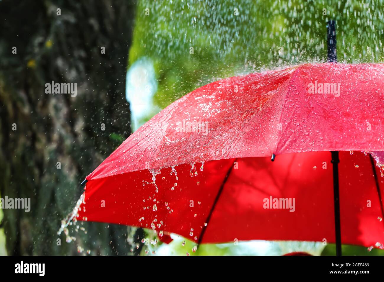 Open umbrella under falling rain drops outdoors Stock Photo - Alamy