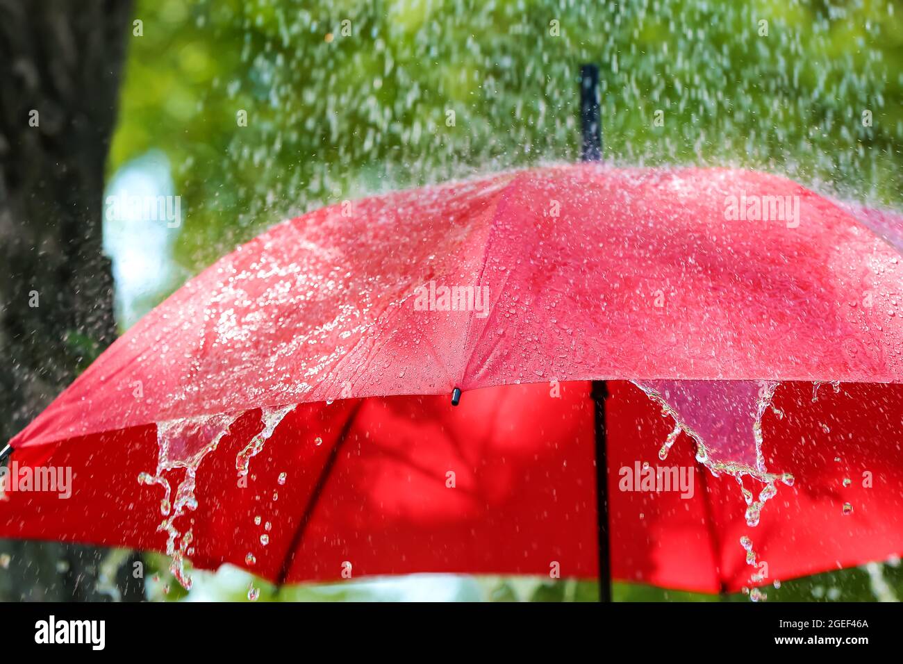 Open umbrella under falling rain drops outdoors Stock Photo - Alamy