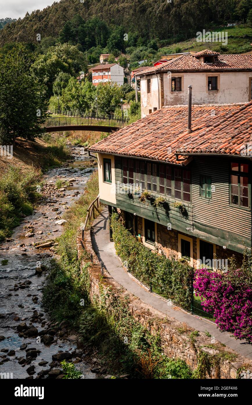 Typical northern Spanish houses surrounded by greenery next to the ...