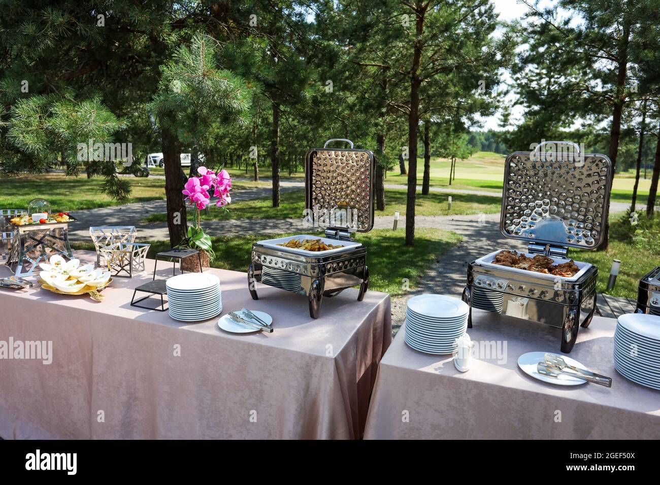 Catering, gourmet snack containers at the buffet Stock Photo - Alamy