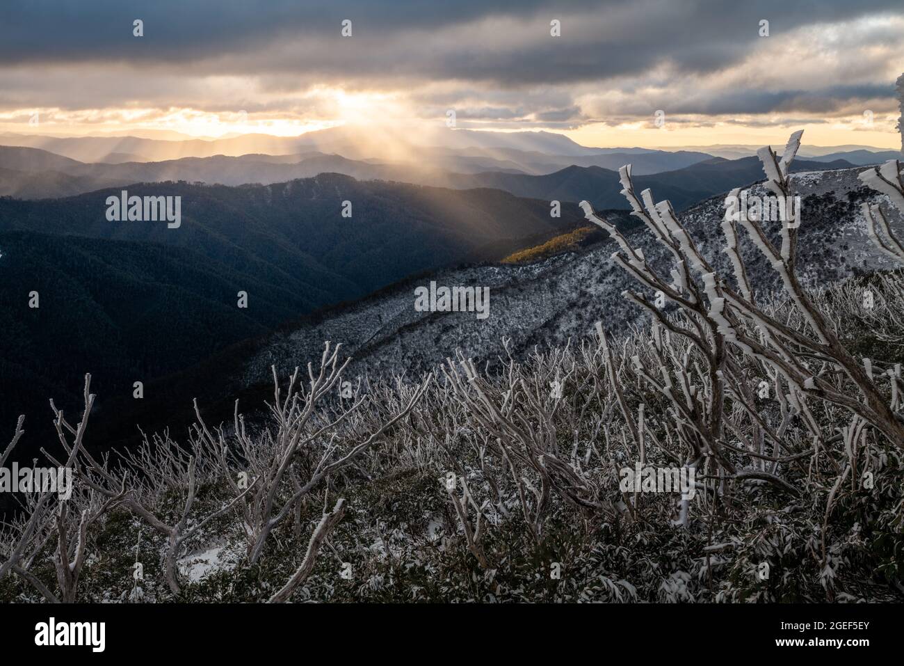 Cold season in australia hi-res stock photography and images - Alamy
