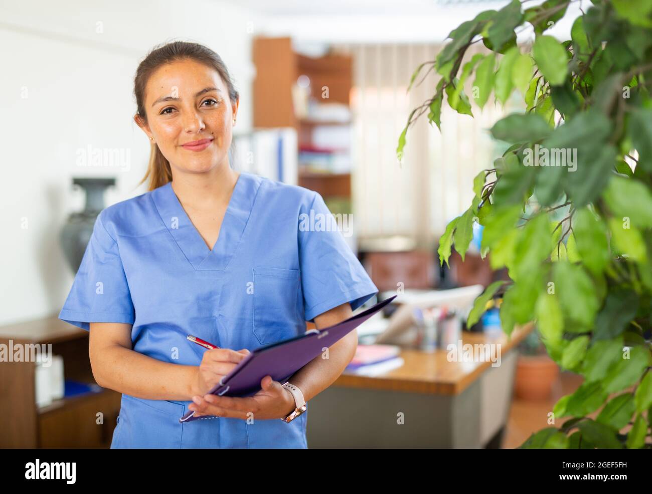 Positive secretary with folder for documents in office Stock Photo - Alamy