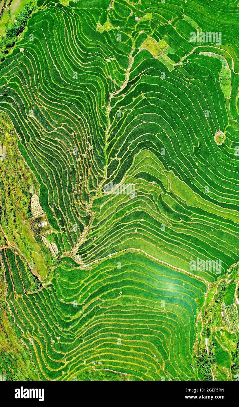 Aerial view of the thousands of terraces near the Hakka Tulou in ...