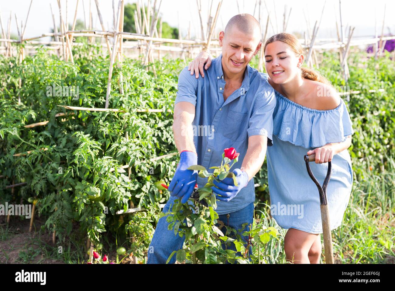 Husband and wife spending time together Stock Photo - Alamy