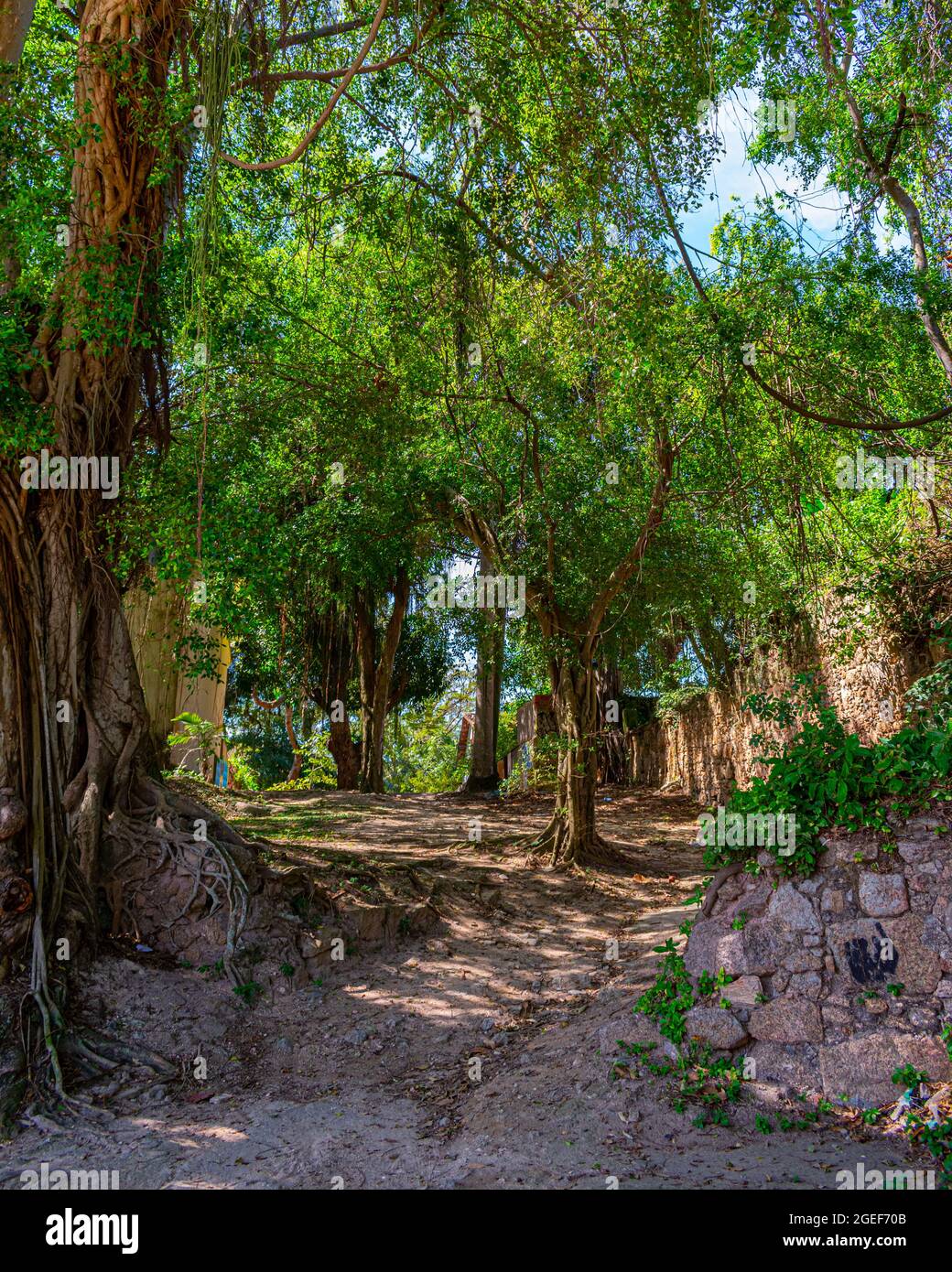 Paqueta Island, Rio de Janeiro, Brazil - CIRCA 2021: Typical urban ...
