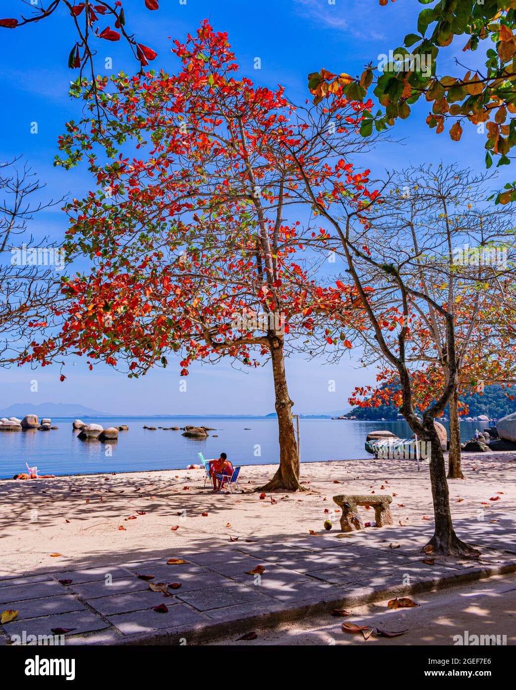 Paqueta Island, Rio de Janeiro, Brazil - CIRCA 2021: Typical urban ...