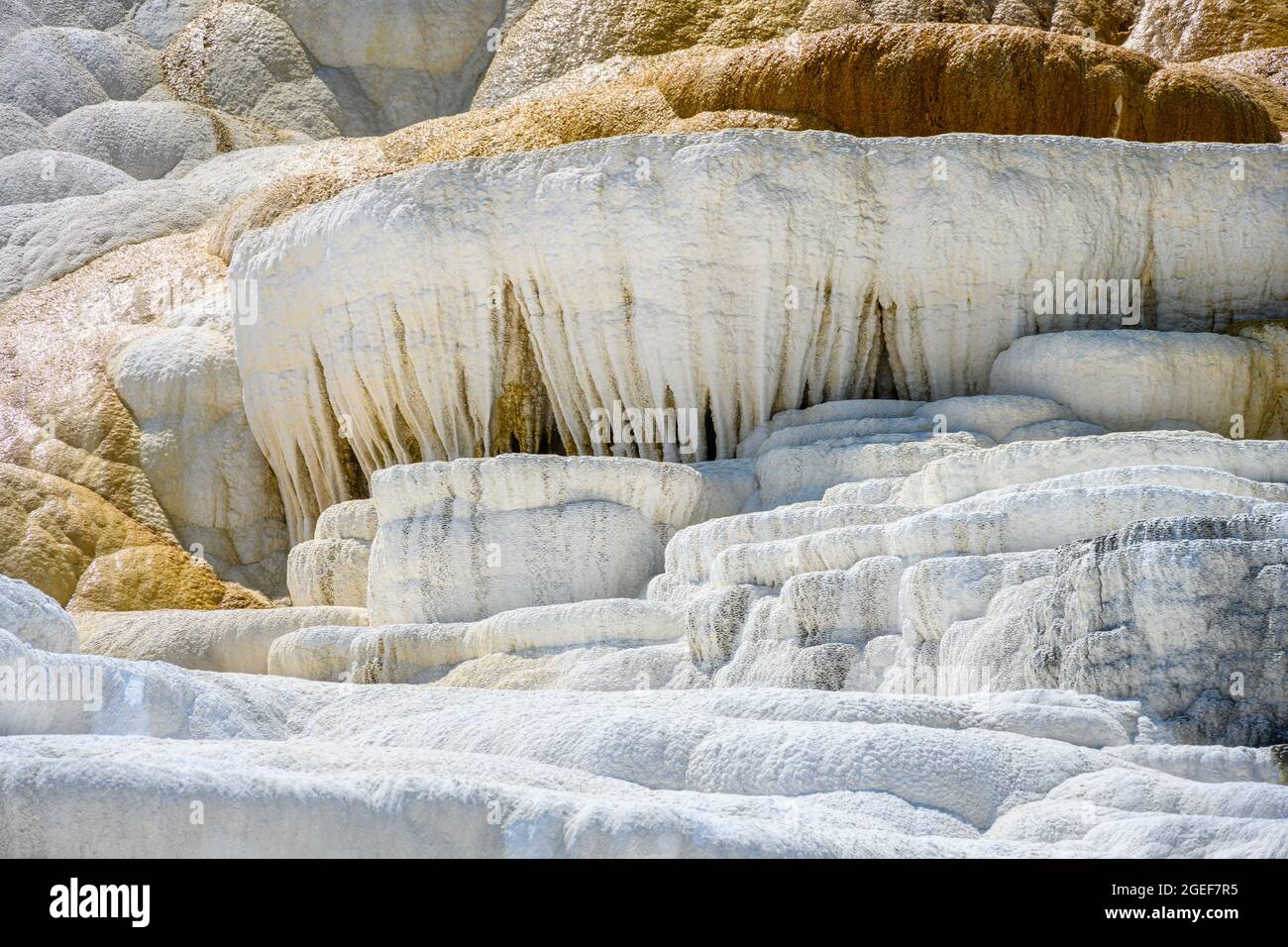 Lower Terraces Mammoth Hot Springs, Yellowstone National Park, USA ...
