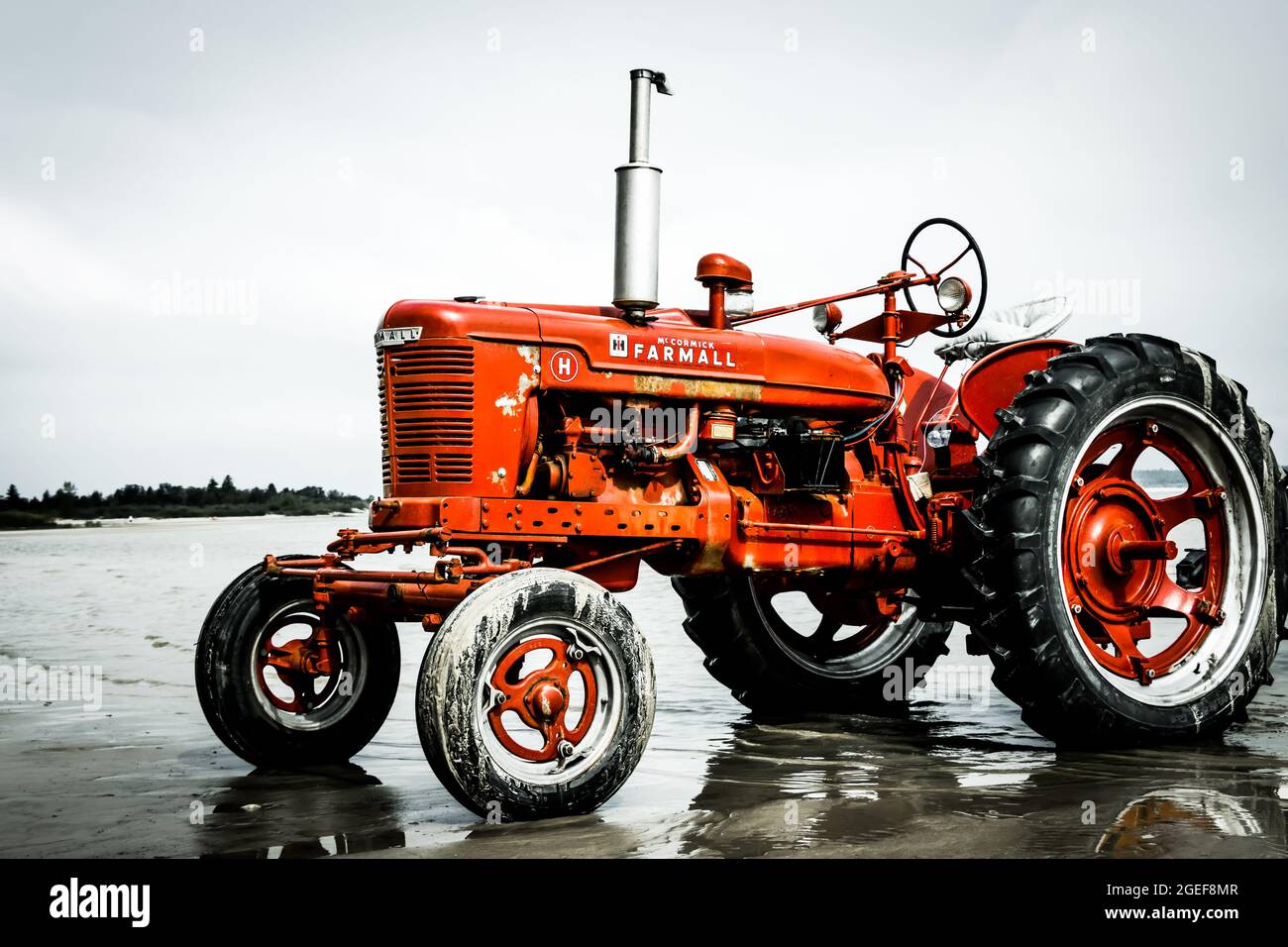 A bright red antique tractor parked on a smooth sandy beach surrounded ...
