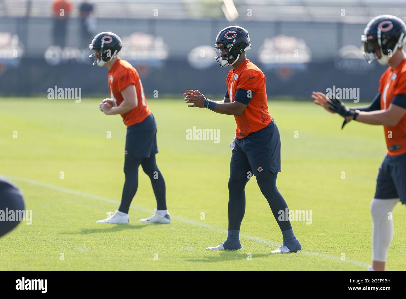 Chicago bears quarterbacks wait for snap training camp halas hall hi ...