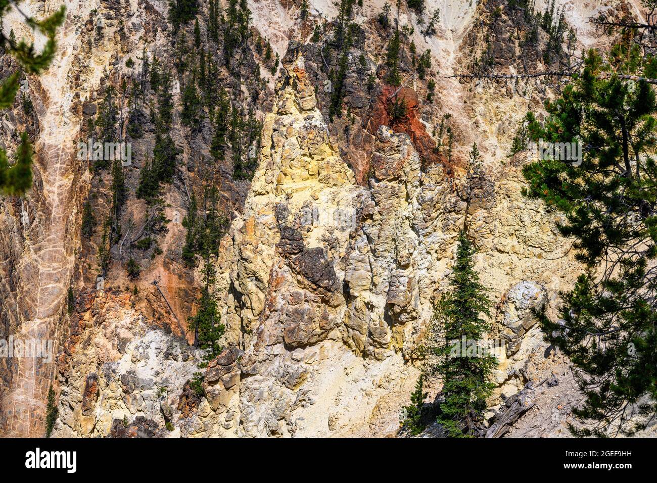 Dramatic rock walls of the Grand Canyon of the Yellowstone, Yellowstone ...