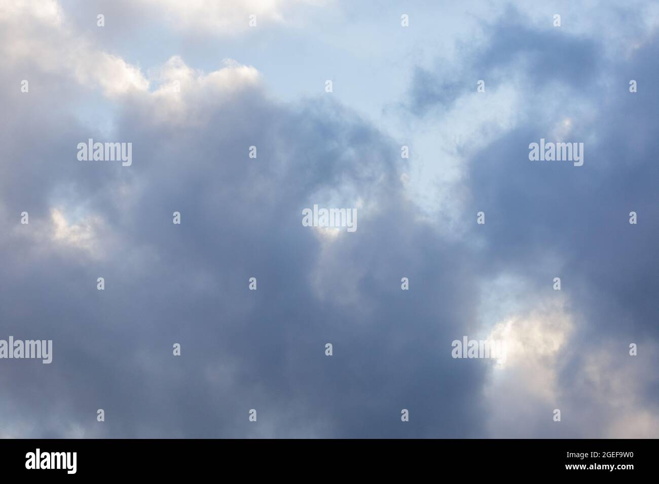 The background consists of large gray clouds in sky before heavy rain ...