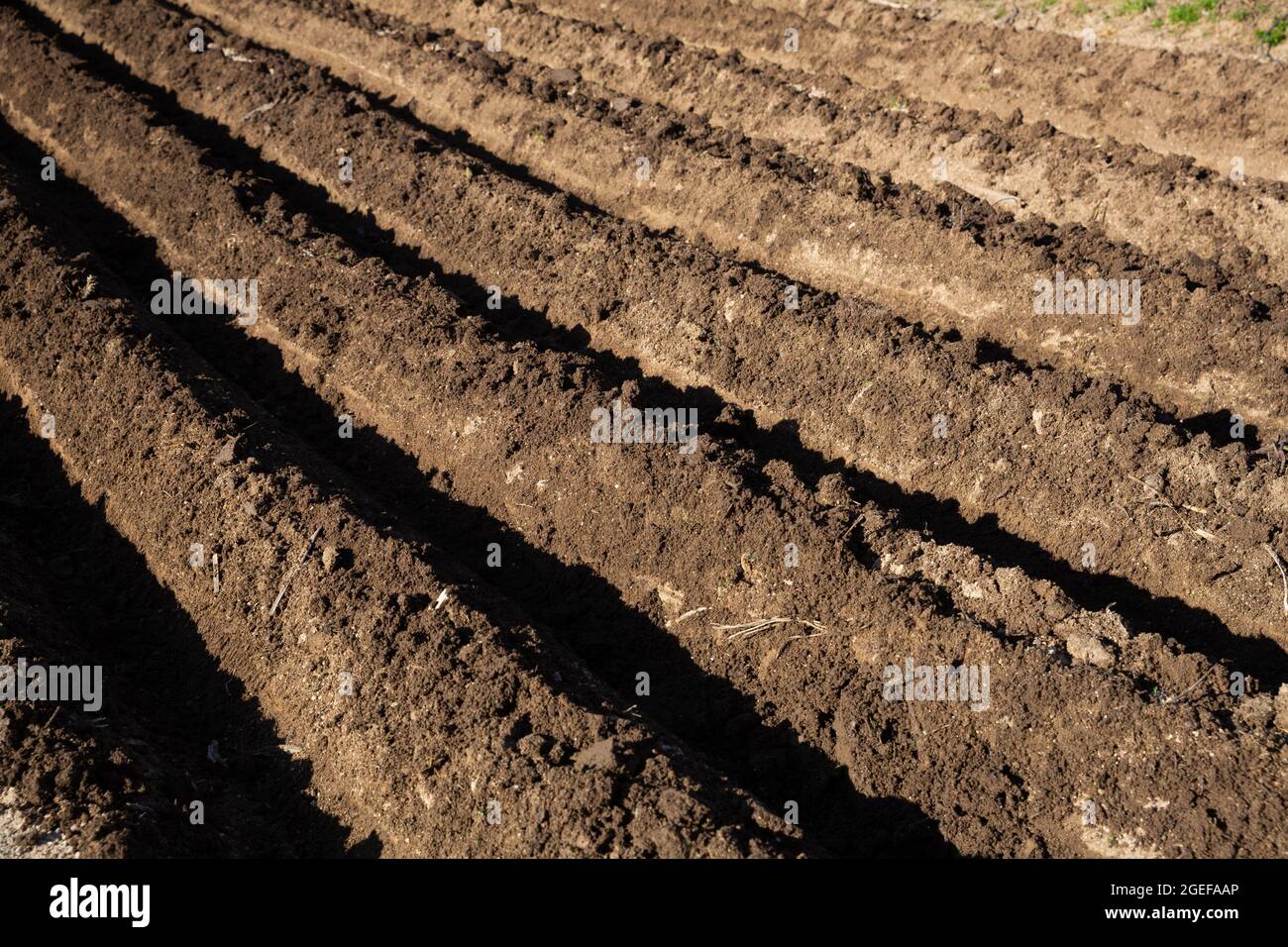 Stirring the soil hi-res stock photography and images - Alamy