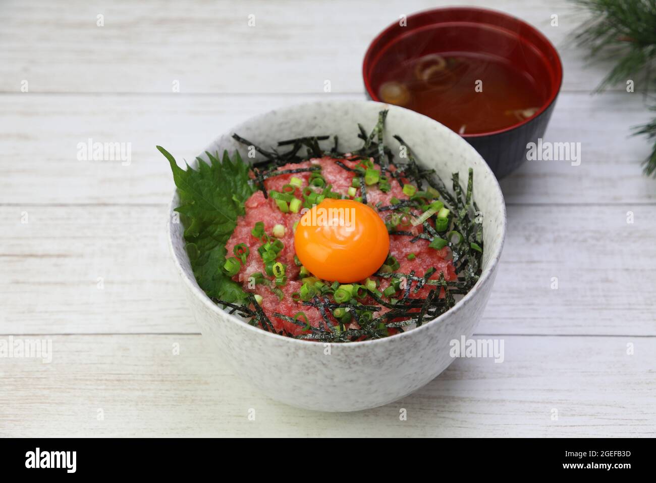 Negitoro-don, Tuna Paste Rice Bowl, Japanese Food Stock Photo - Alamy